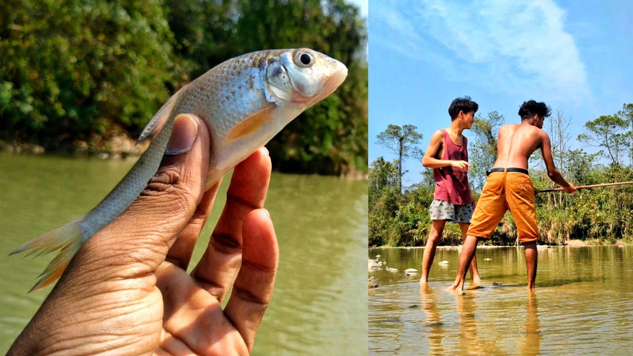 Fishing In Dehing River In Deomali | ArunachalPradesh | Sirf Ek Fish ...