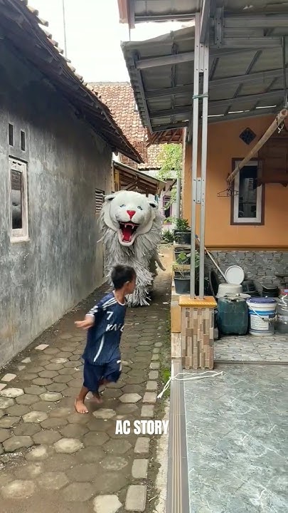 bocil Dikejar can Macanan lapor kakaknya bawa samurai - YouTube