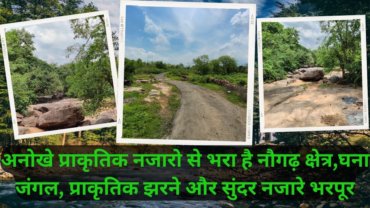 सुंदर नजारों से भरा है नौगढ़ का जंगल । forest of Naugarh is full of ...