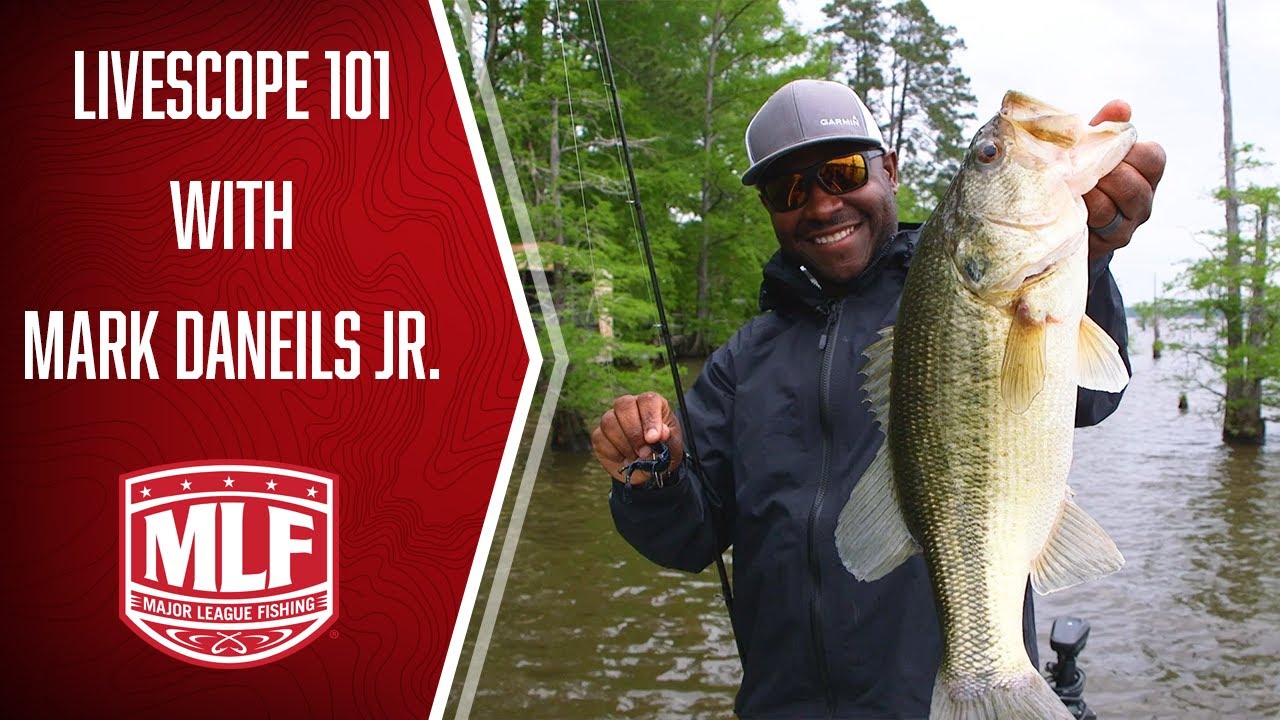LiveScope 101 with Mark Daniels Jr. - YouTube
