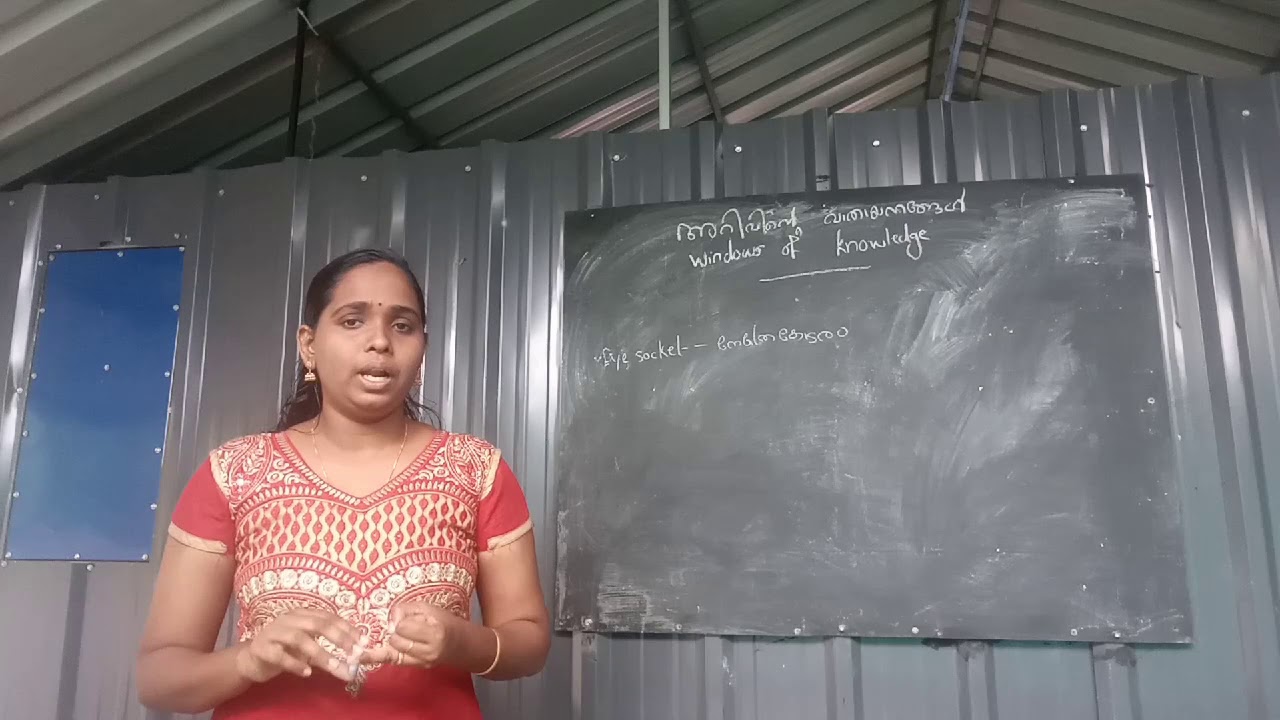 biology.2nd chapter.windows of knowledge - YouTube