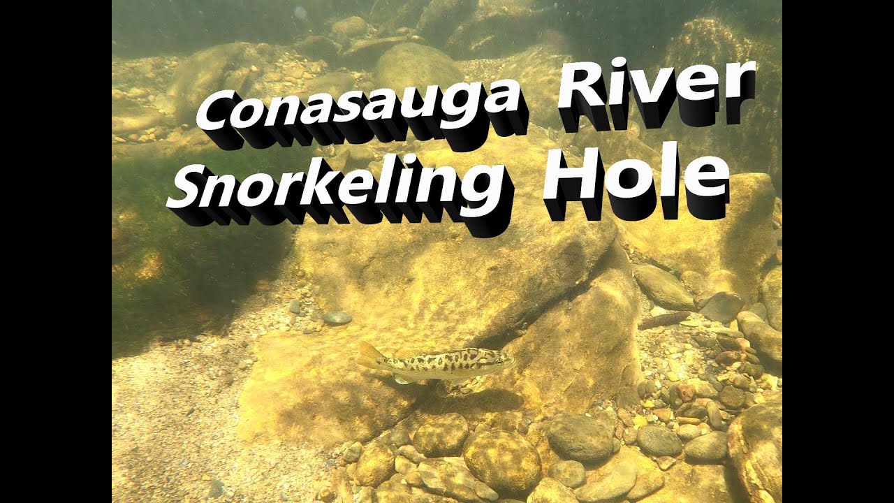 Conasauga River Snorkeling Hole - YouTube