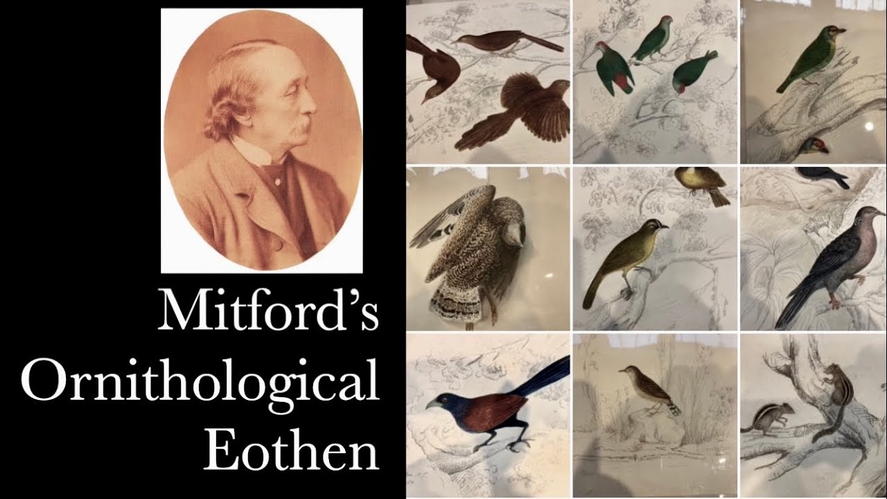 Mitford’s Ornithological Eothen - YouTube