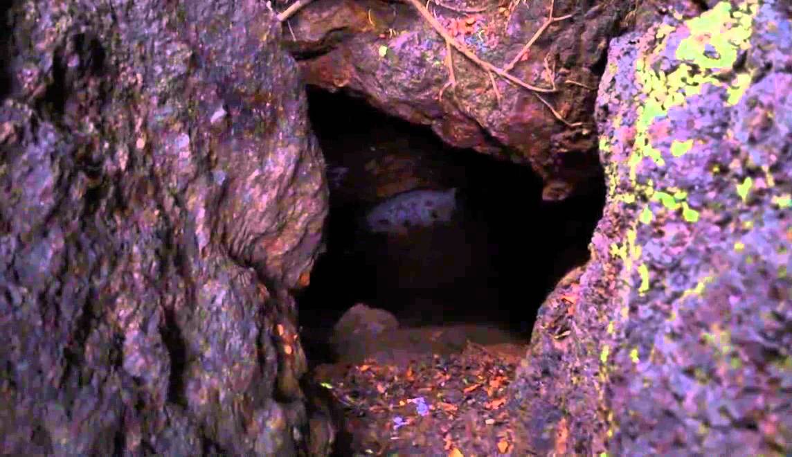 Forest Cave video in kerala forests unseen caves - YouTube