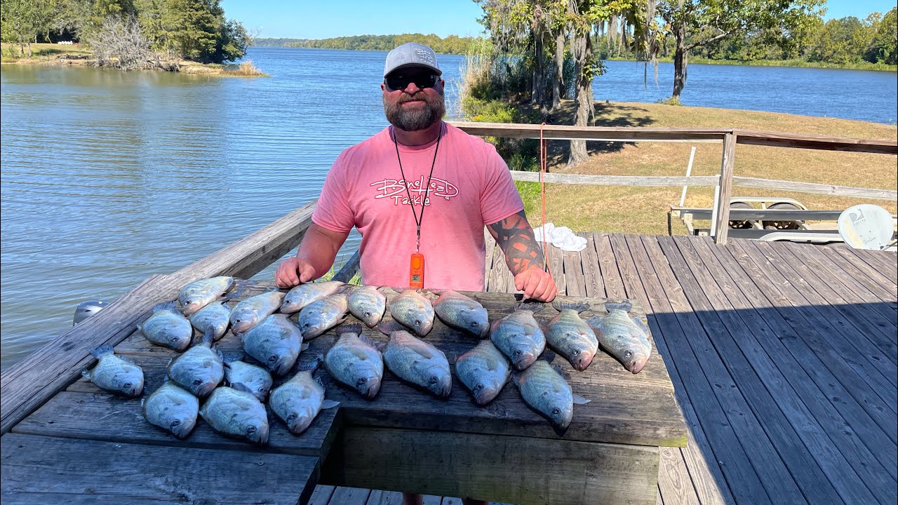 ALABAMA RIVER GIANTS‼️‼️ FALL FISHING AT ITS BEST - YouTube