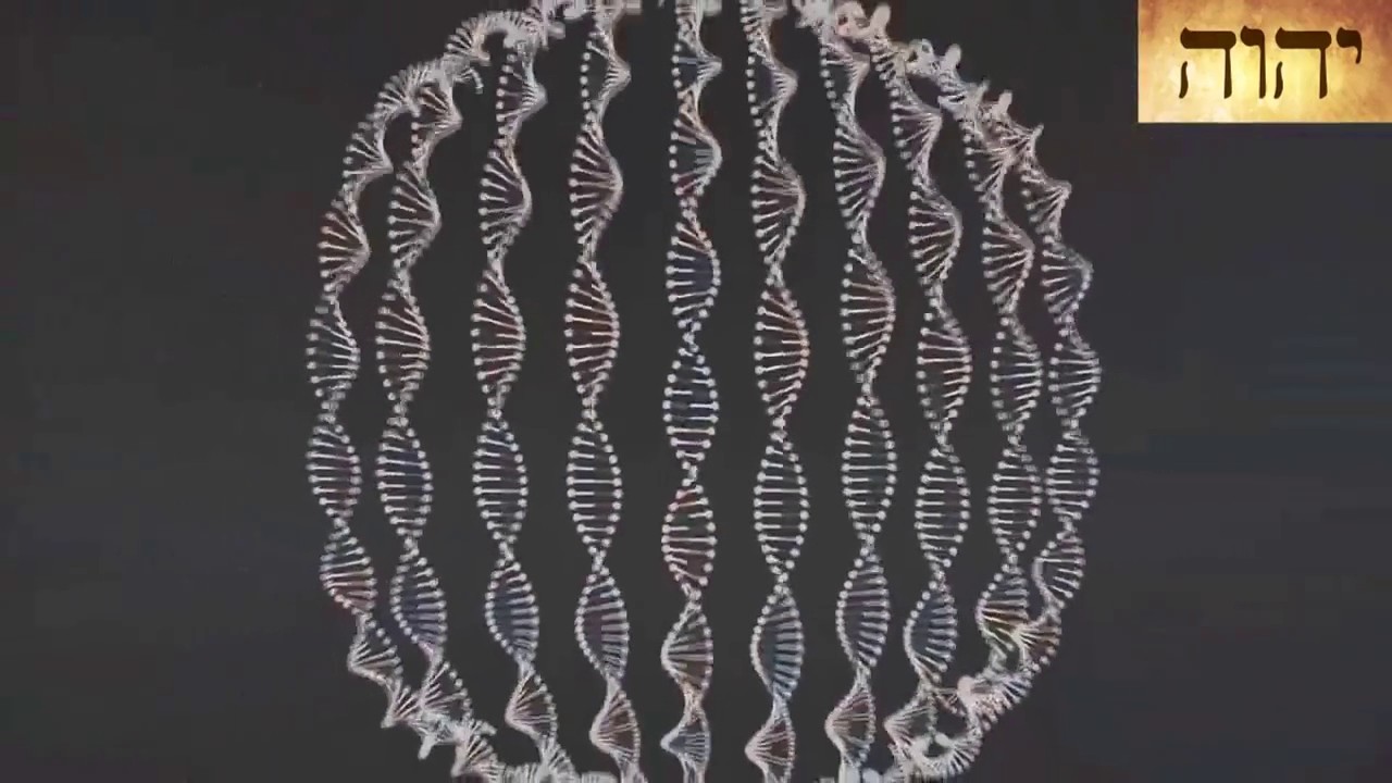 O nome de Deus (YHWH) no DNA humano - YouTube