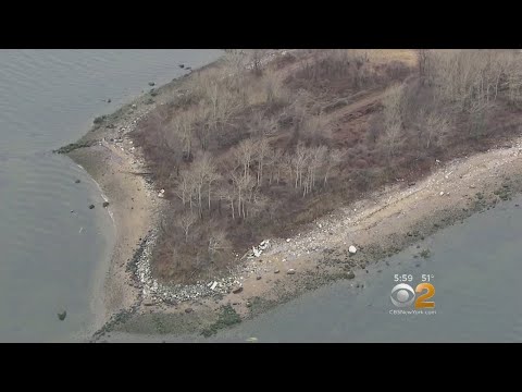 Bones From Hart Island Mass Graves Washing Up In Local Communities