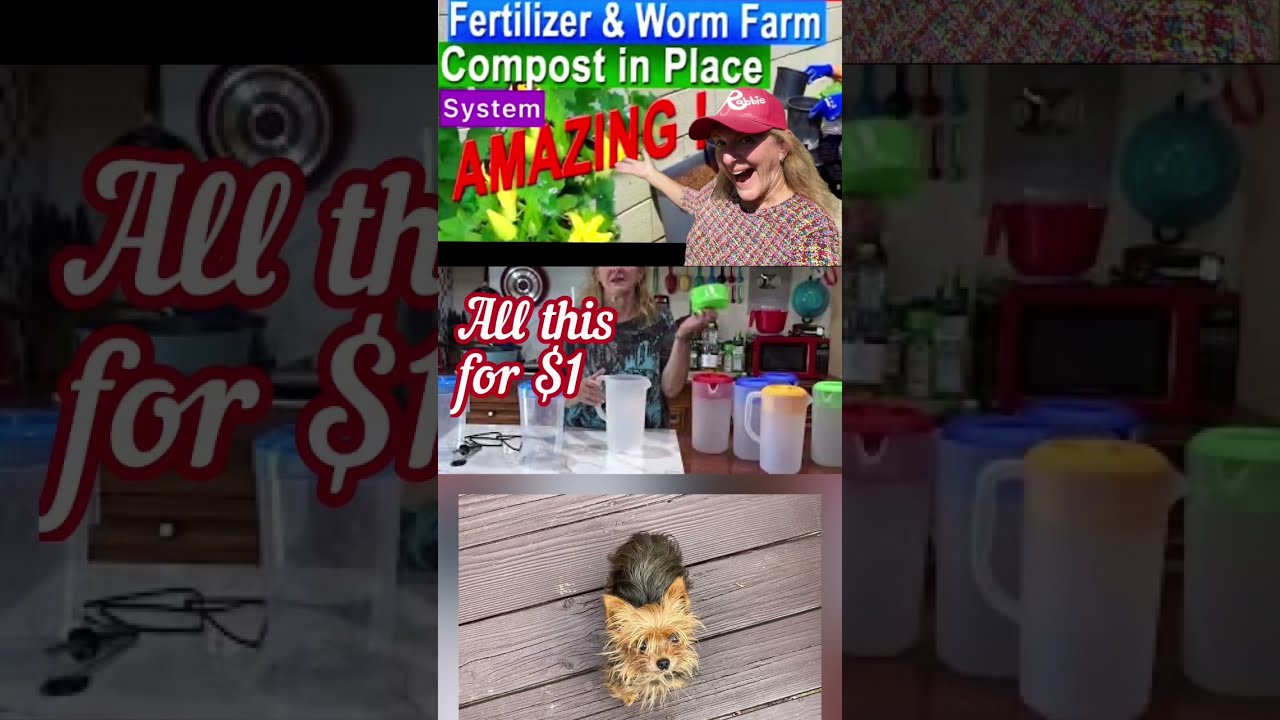 What Happened to MY Kitchen Scraps! Composting System Pitcher Compost ...