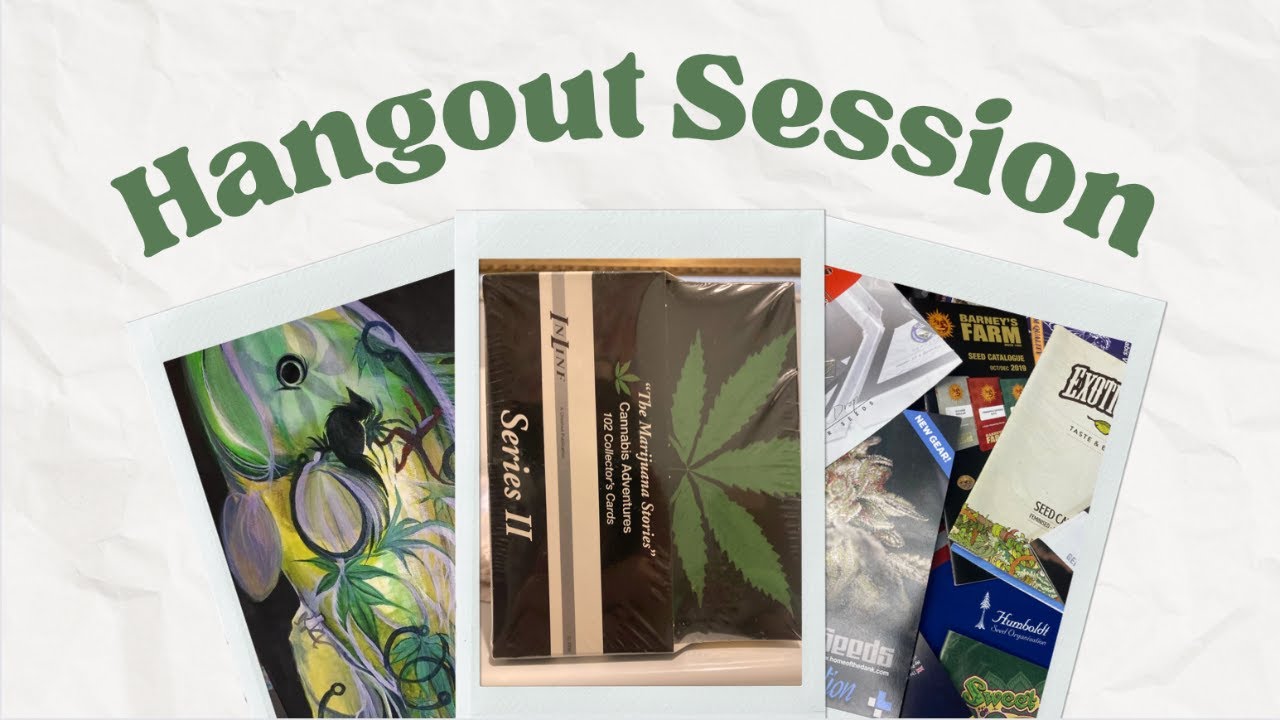 1996 Marijuana Stories pack opening / live painting / open forum ...