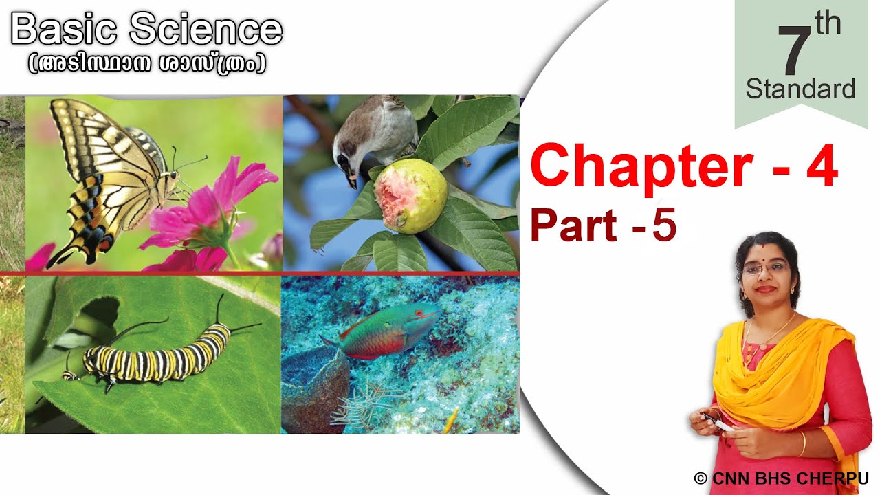 Through the Alimentary Canal (Chapter-4, Part-5, Basic Science - Standard 7) - YouTube