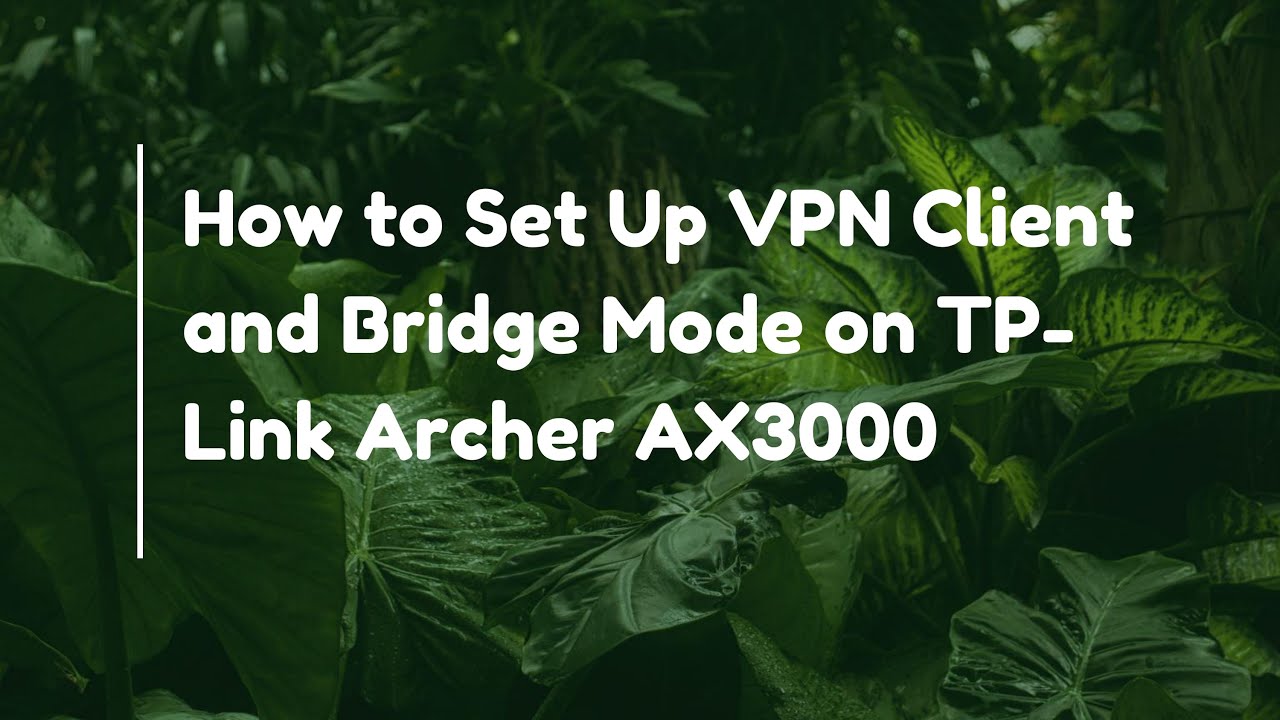 How to Set Up VPN Client and Bridge Mode on TP-Link Archer AX3000 - YouTube