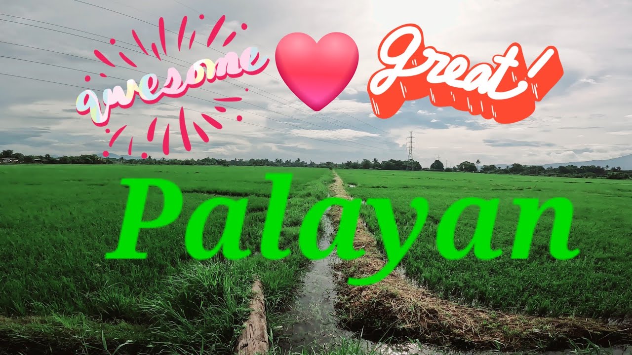 #palayan #nature #environment - YouTube