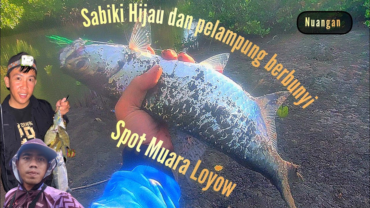 Mancing Sore Di Muara Loyow Pass Air Surut, Spot MANTAP ada Babonnya ...