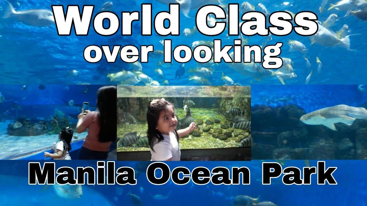 World Class! Over looking@ MANILA OCEAN PARK - YouTube