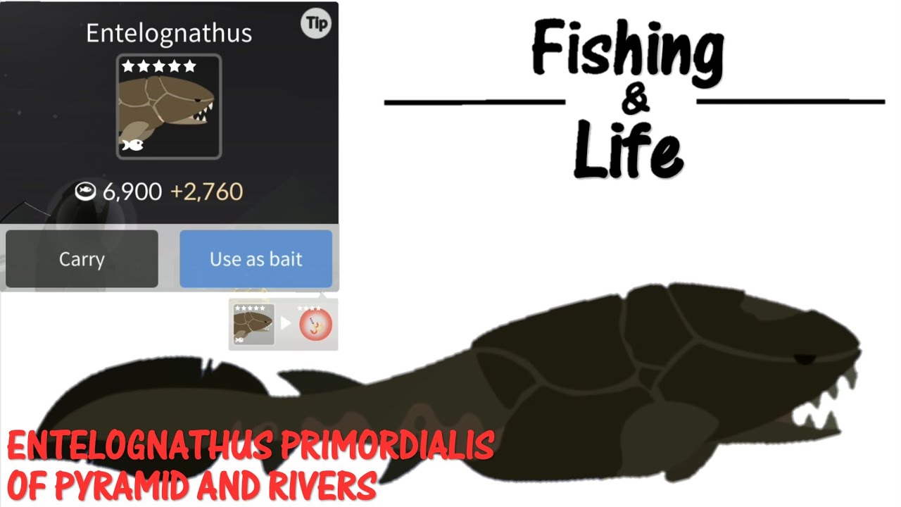 Fishing Life #2: Entelognathus | Entelognathus Primordialis Of Pyramid ...