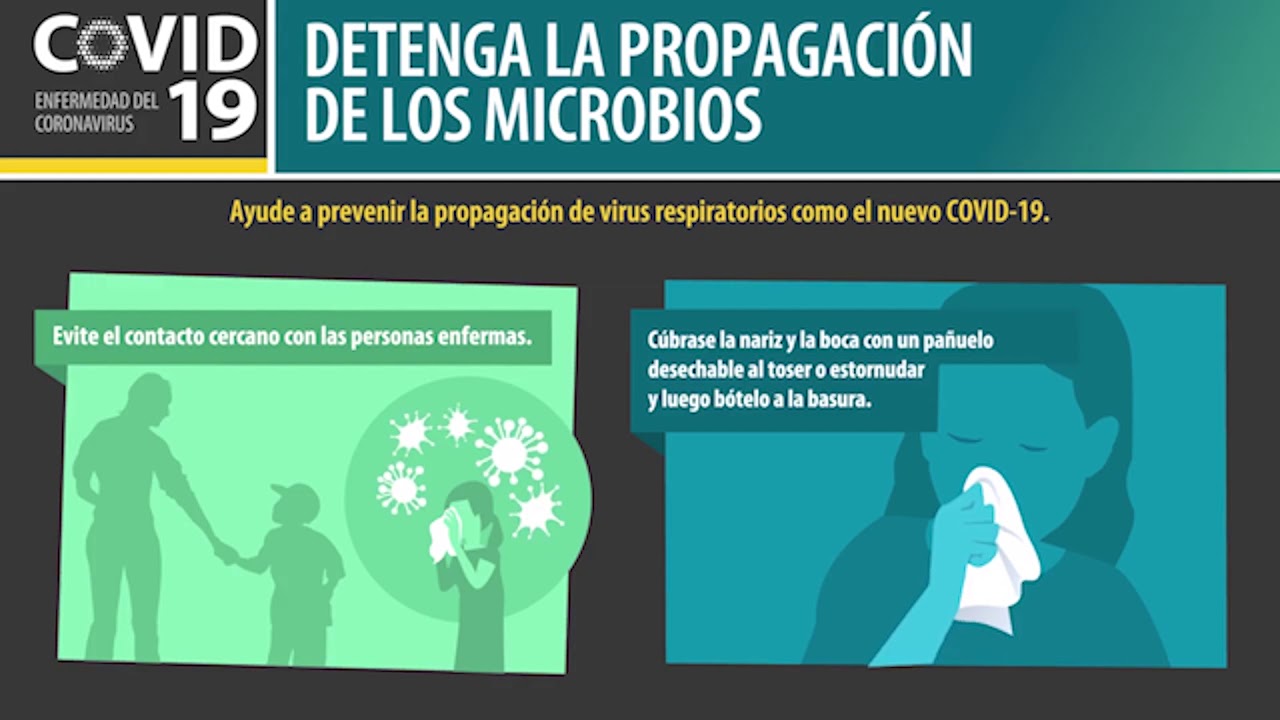 Stop the spread of germs - English and Spanish - YouTube