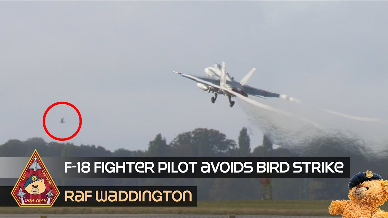 F-18 FIGHTER PILOT QUICK REACTIONS AVOIDS COLLISION BIRD STRIKE • RCAF ...