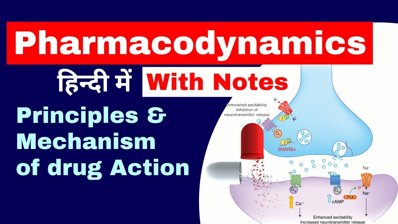 Pharmacodynamics in pharmacology | mechanism of drug action ...