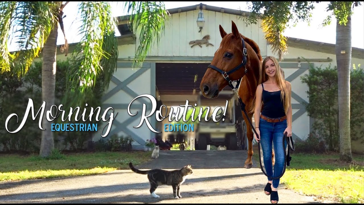 MORNING ROUTINE of an Equestrian! - YouTube