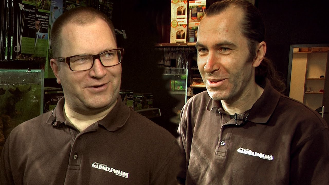 Im Garnelenhaus von Frank & Carsten Logemann - YouTube