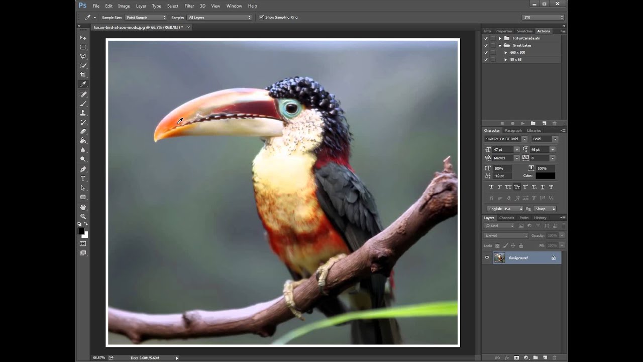 Photoshop Add Border To Image White Border Or Any Other Color YouTube Photoshop Add Border To Image White Border Or Any Other Color YouTube