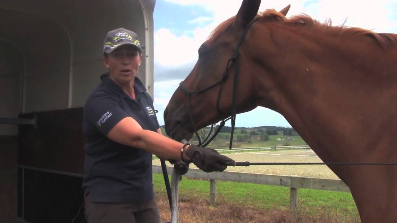 Fiber Fresh Feeds Equine TV: EP 47 - Float Training continued - YouTube