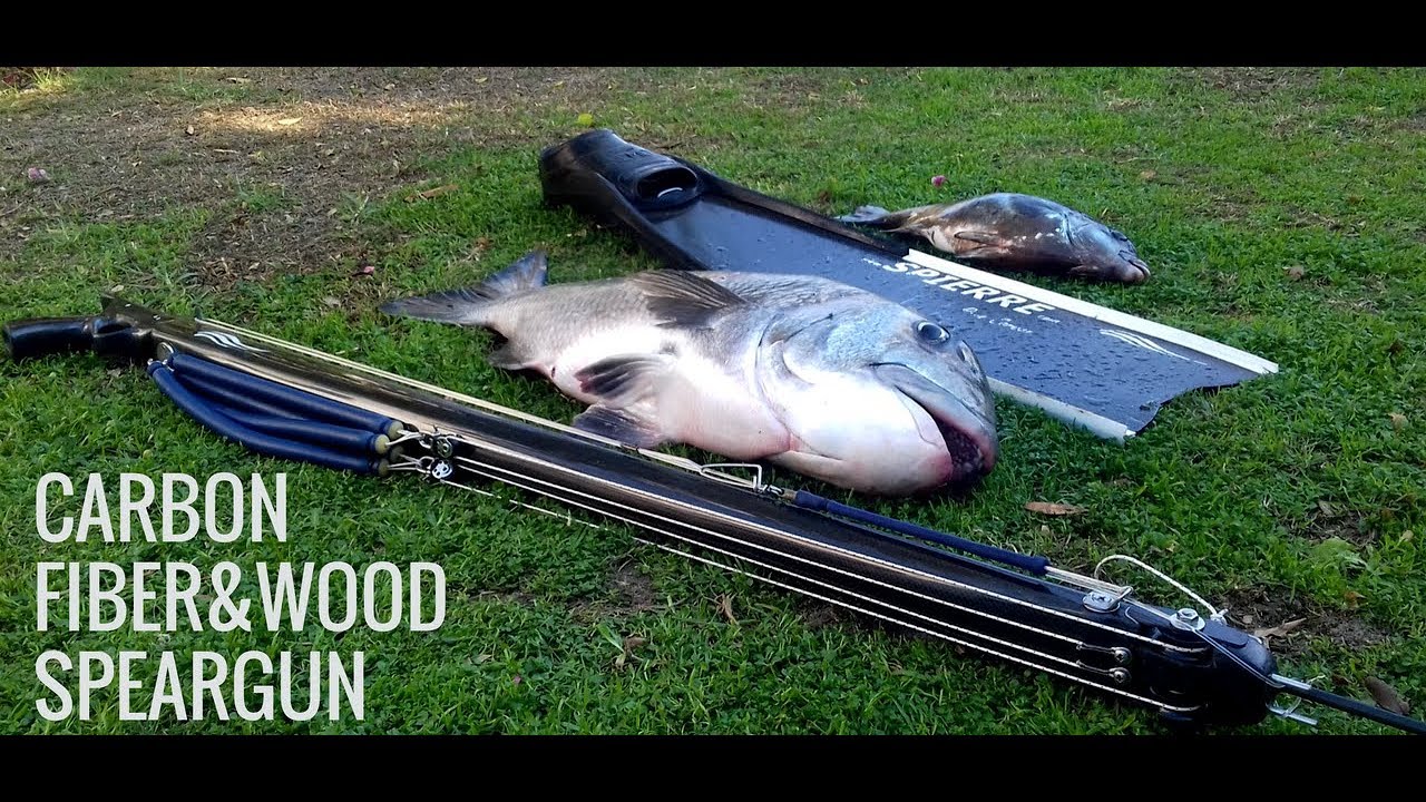 Spearfishing Musselcracker in South Africa - YouTube