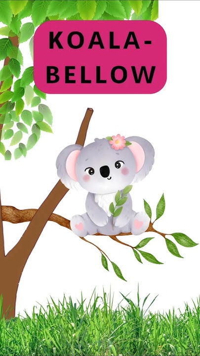Koala bellow#animal sounds# - YouTube