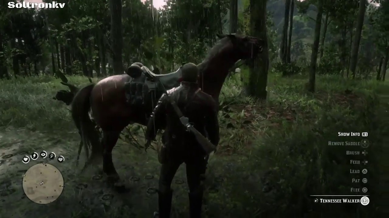 Red Dead Redemption 2 : Butcher Creek - YouTube