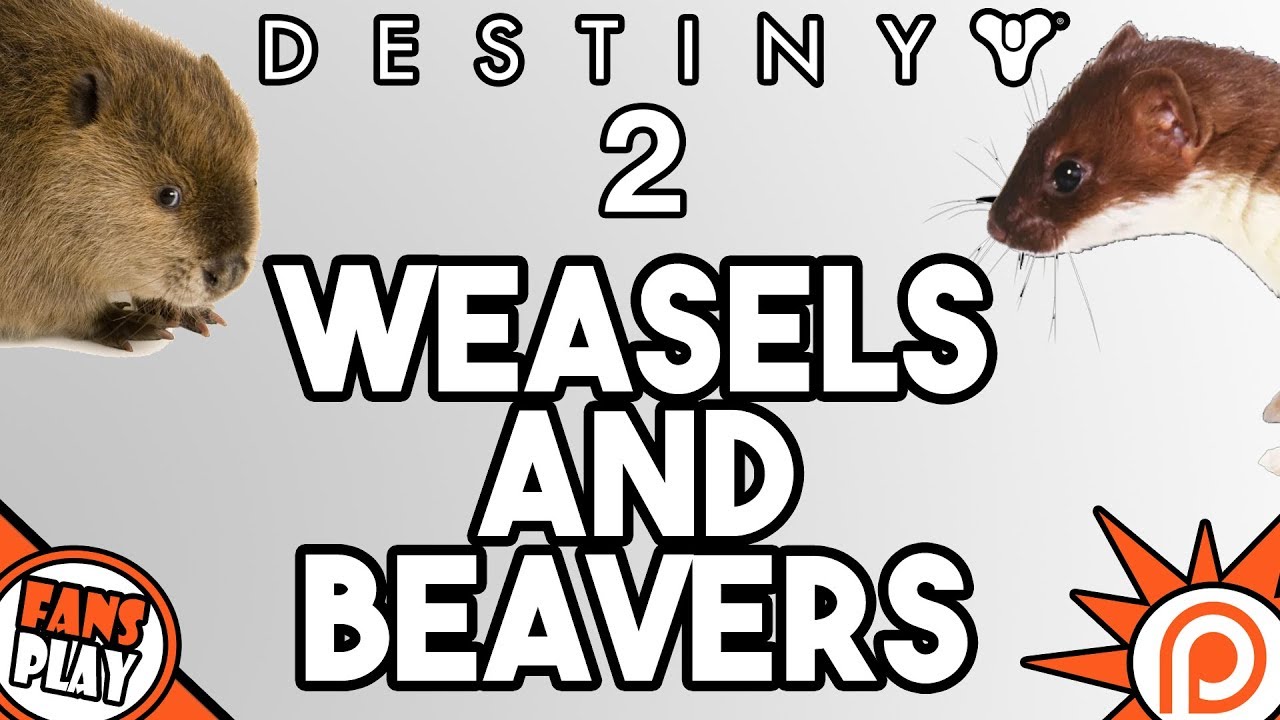 Fighting Weasels and Beavers with a Fan! | Destiny 2 Gameplay - YouTube