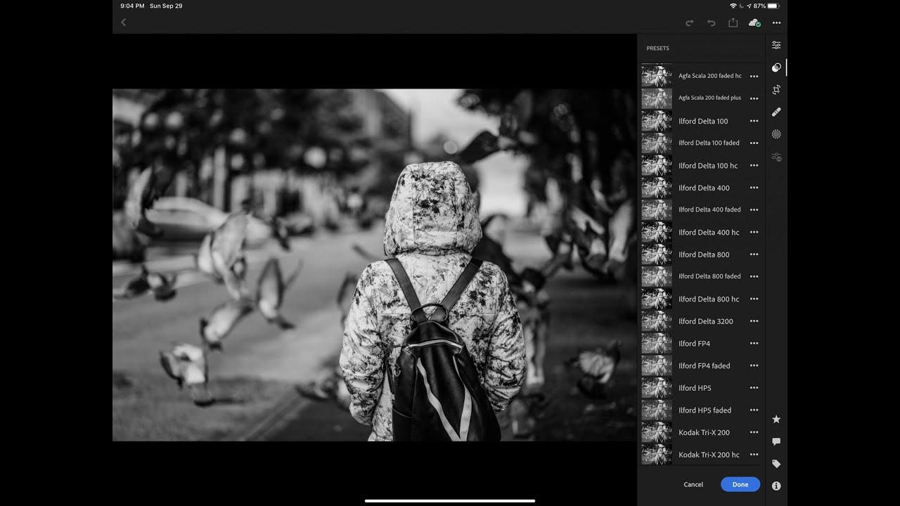 2019-09-29 RNI All Films 5 Pro Presets / Profiles / LUTS Review for ...