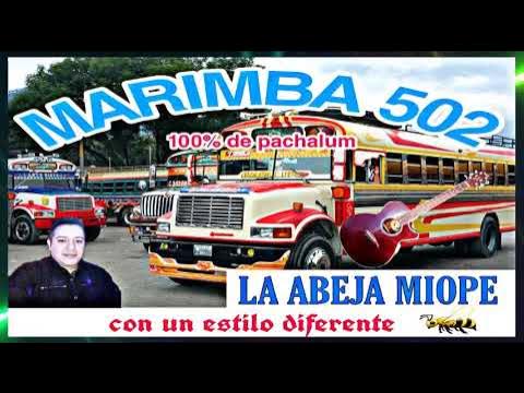 MARIMBA 502 LA ABEJA MIOPE (Nuevo 2020) - YouTube