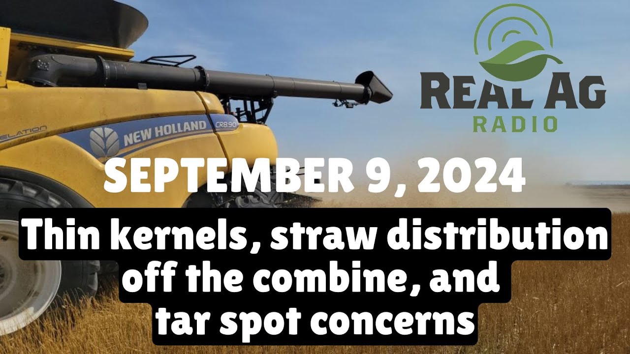 RealAg Radio: Thin kernels, straw distribution off the combine, and tar ...
