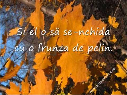 Nicu Alifantis - Emotie de toamna ( Versuri ) - YouTube
