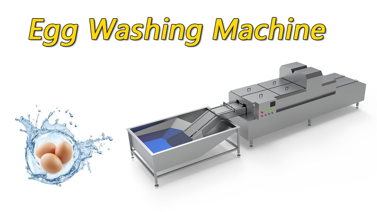 From Farm to Table: The Benefits of Using an Egg Washing Machine for ...