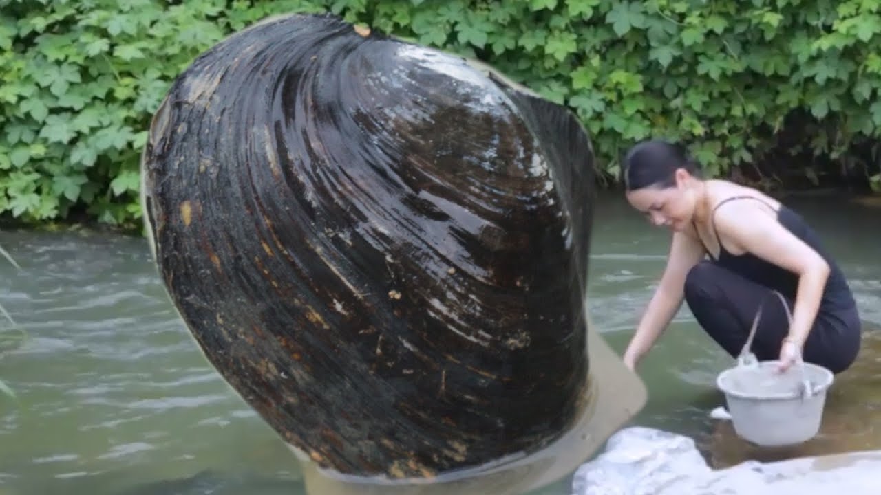 Found giant shells in the deep mountains and rivers, opened them and ...