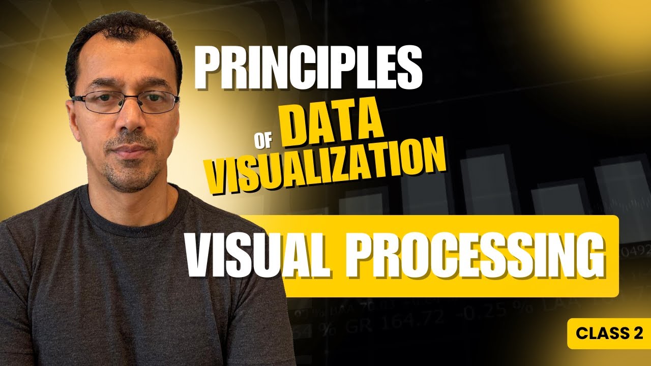 Principles of Data Visualization: Class #2 - Visual Processing - YouTube