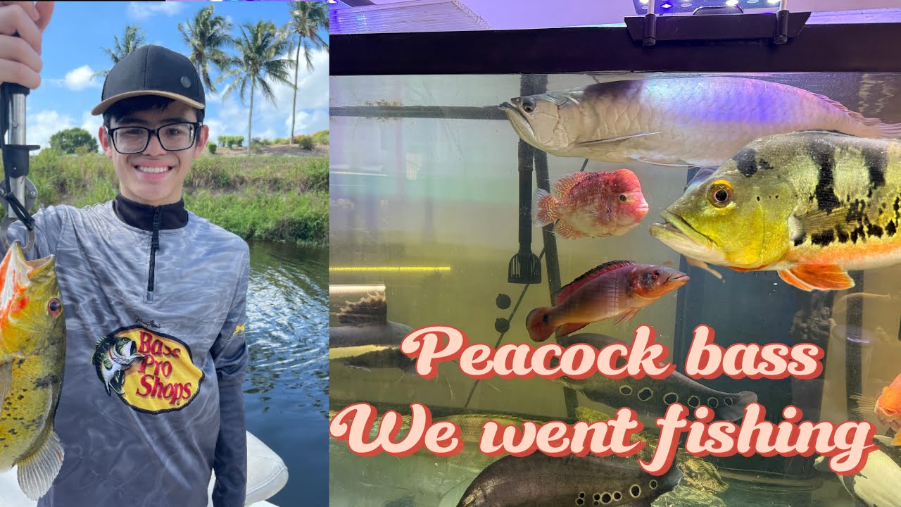 Awesome day Fishing VERY Expensive Fish! - YouTube