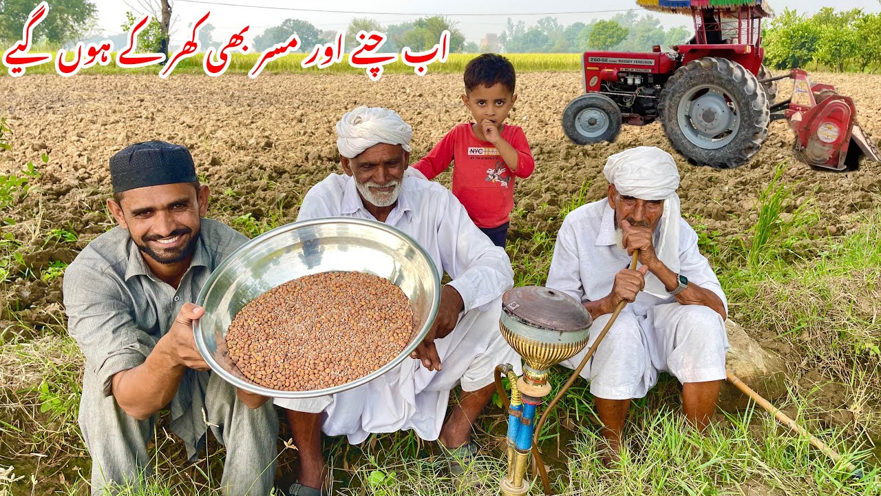 Chana ki fasal bi Kashat ker di چنے اور مسر کی فصل کاشت کر دی - YouTube