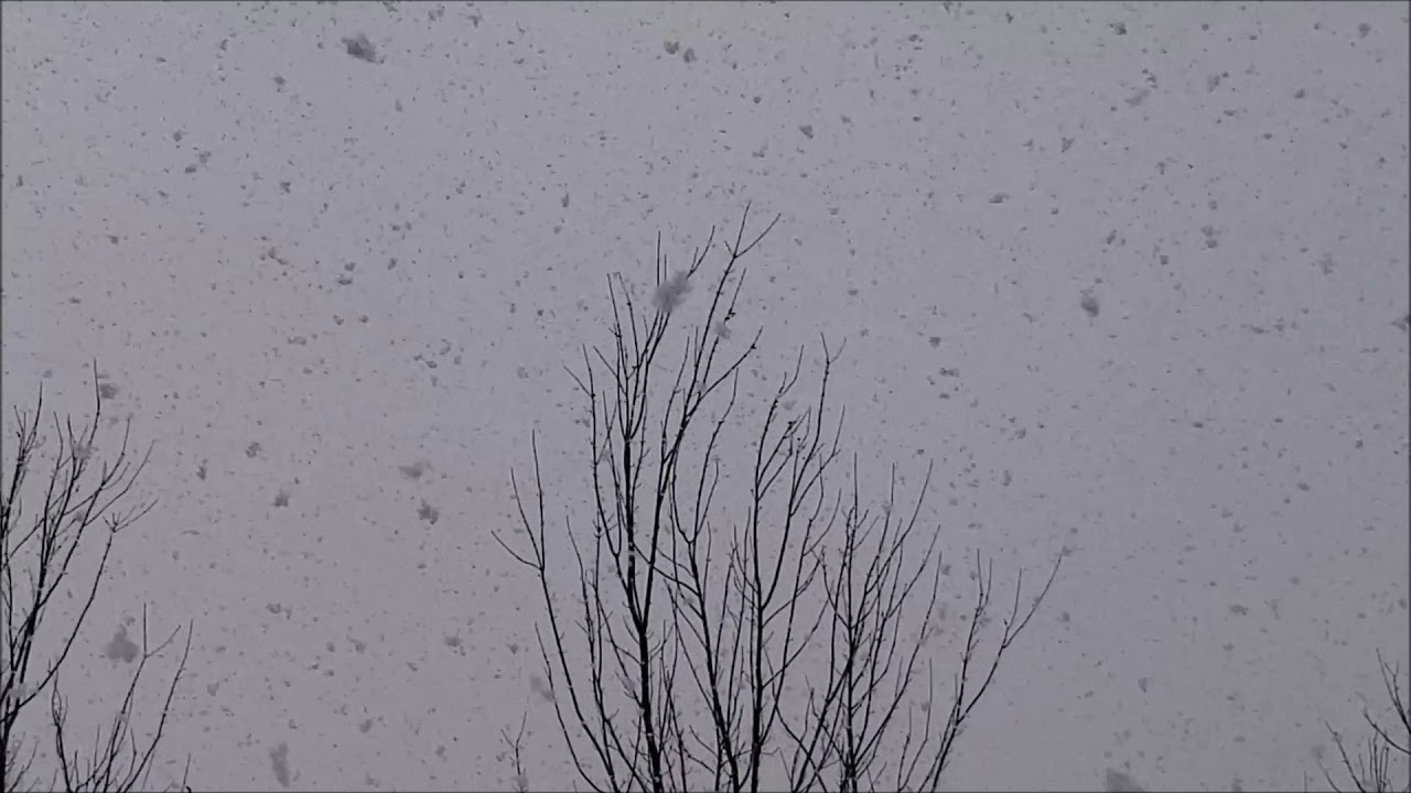 Snow Falling Big Flakes - YouTube
