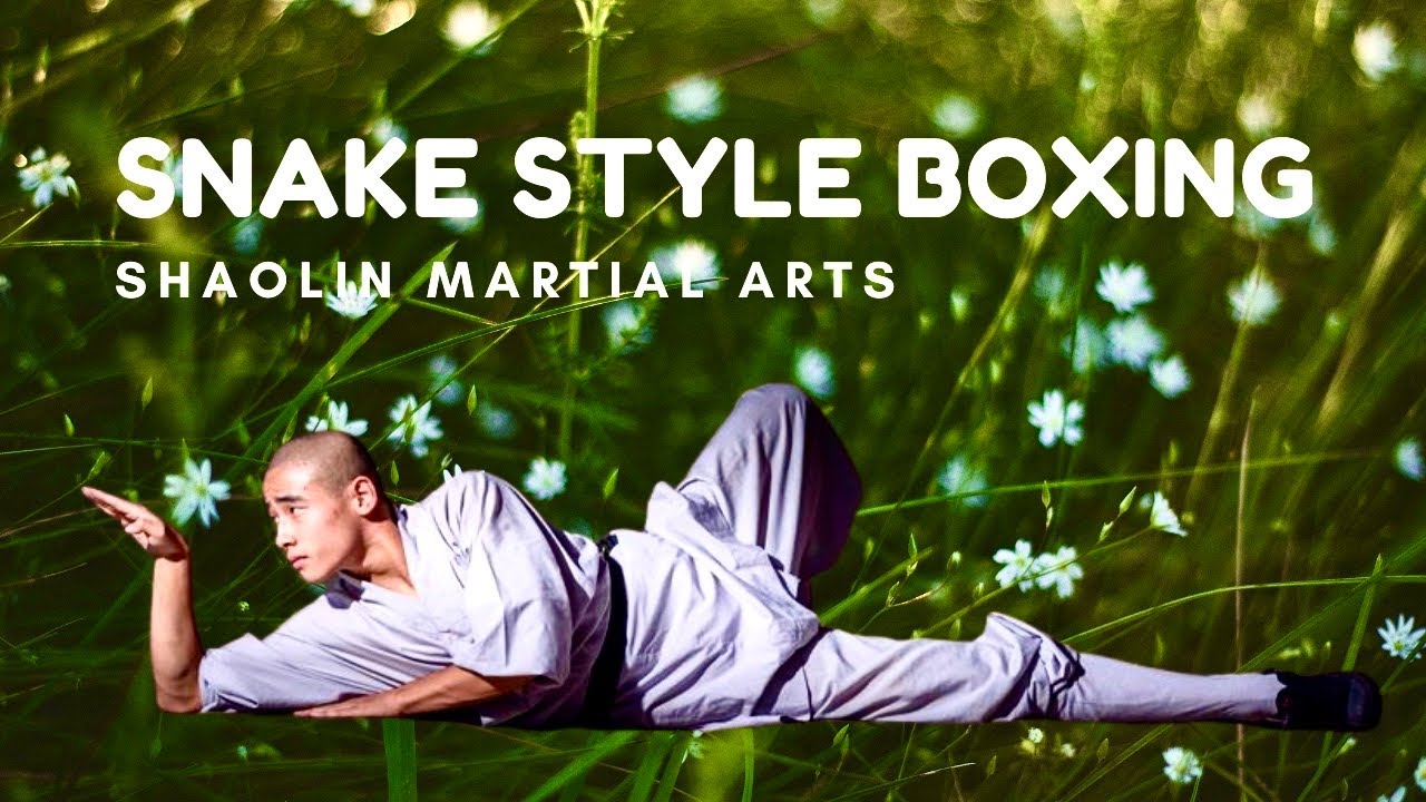 Shaolin Snake Style Boxing #shaolinkungfu #warriormonks #shaolintemple ...