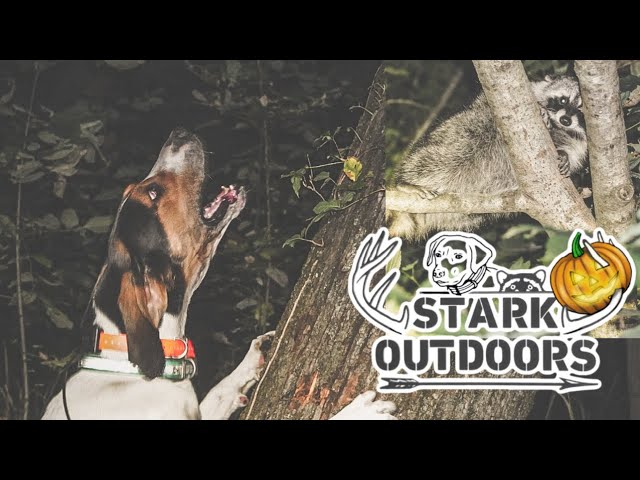 Walker Coon Hunting Logos