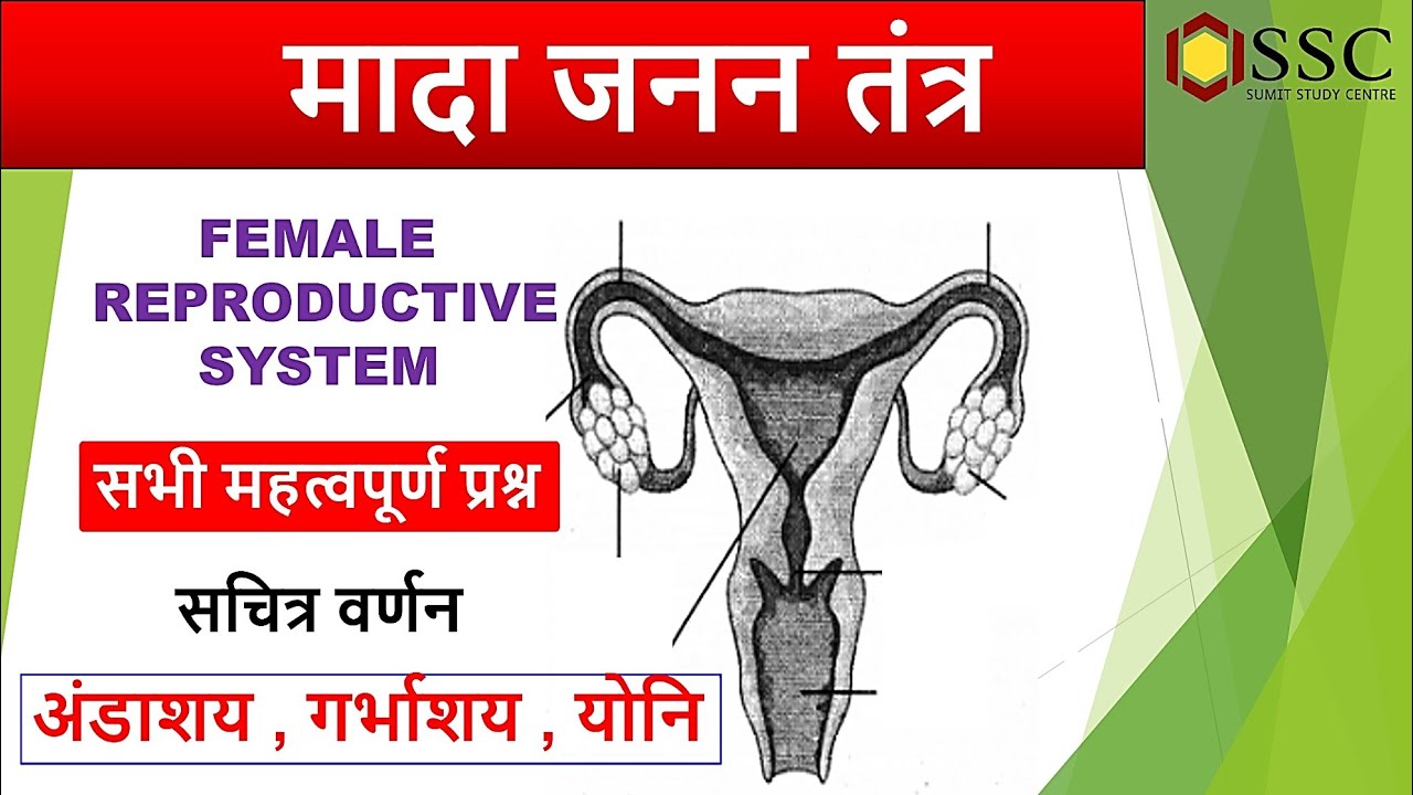 Mada janan tantra | mada janan tantra ka chitra | how to make female ...