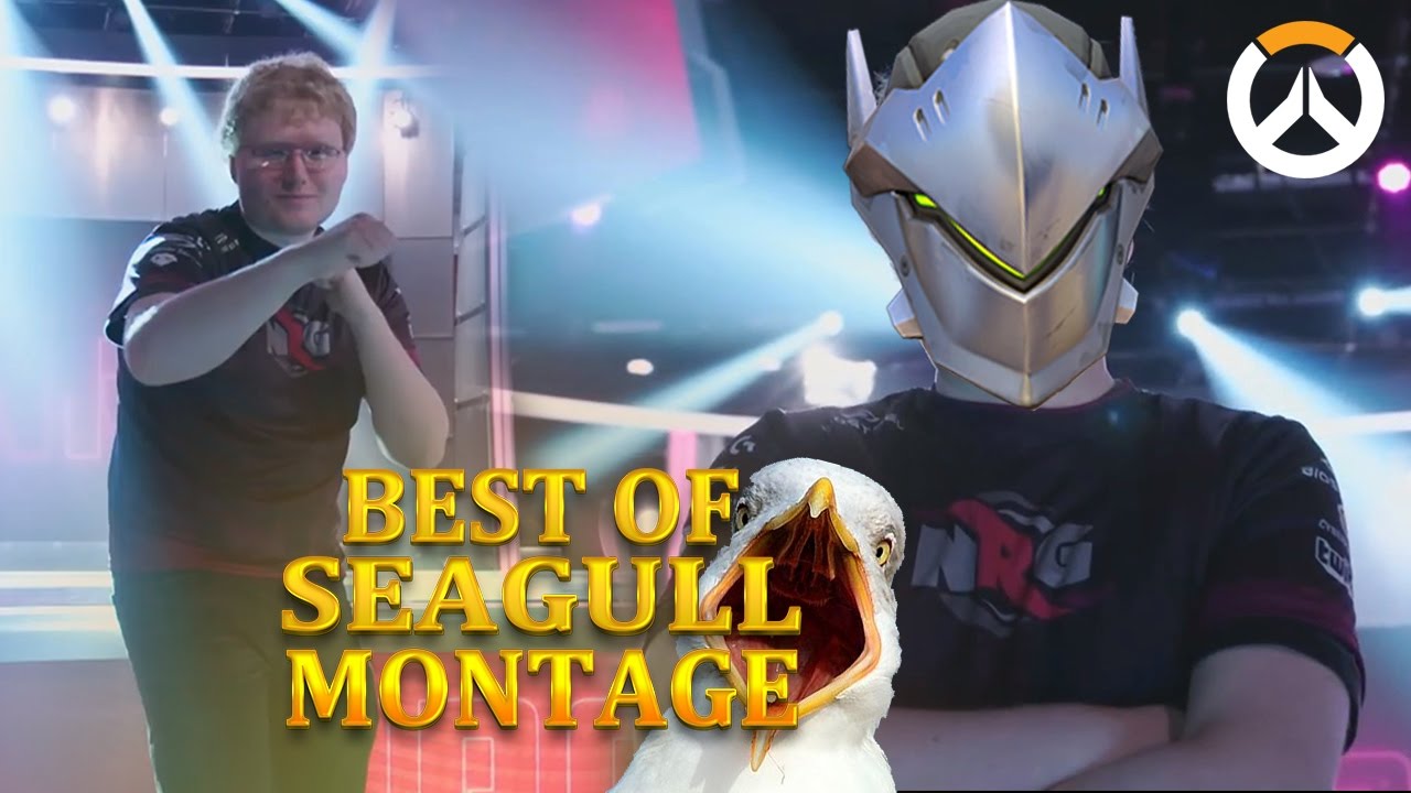 BEST OF SEAGULL MONTAGE! Pro Overwatch Player at his BEST & WORST - YouTube
