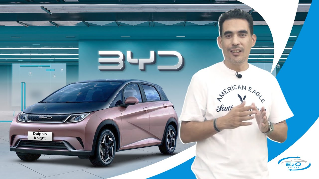 BYD Dolphin Knight - YouTube