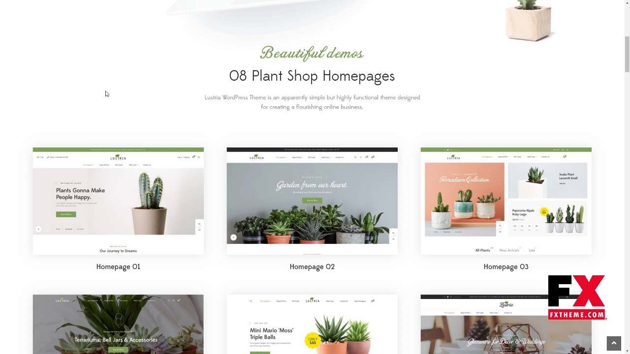 Lustria - MultiPurpose Plant Store WordPress Theme Petros Faron - YouTube