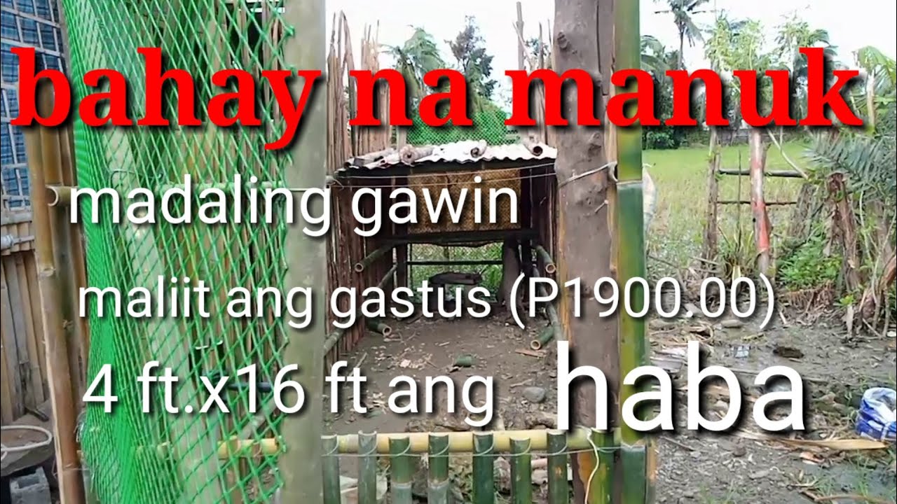 Backyard Chicken Coop, Affordable/ Bahay ng Manok Na Matibay At ...