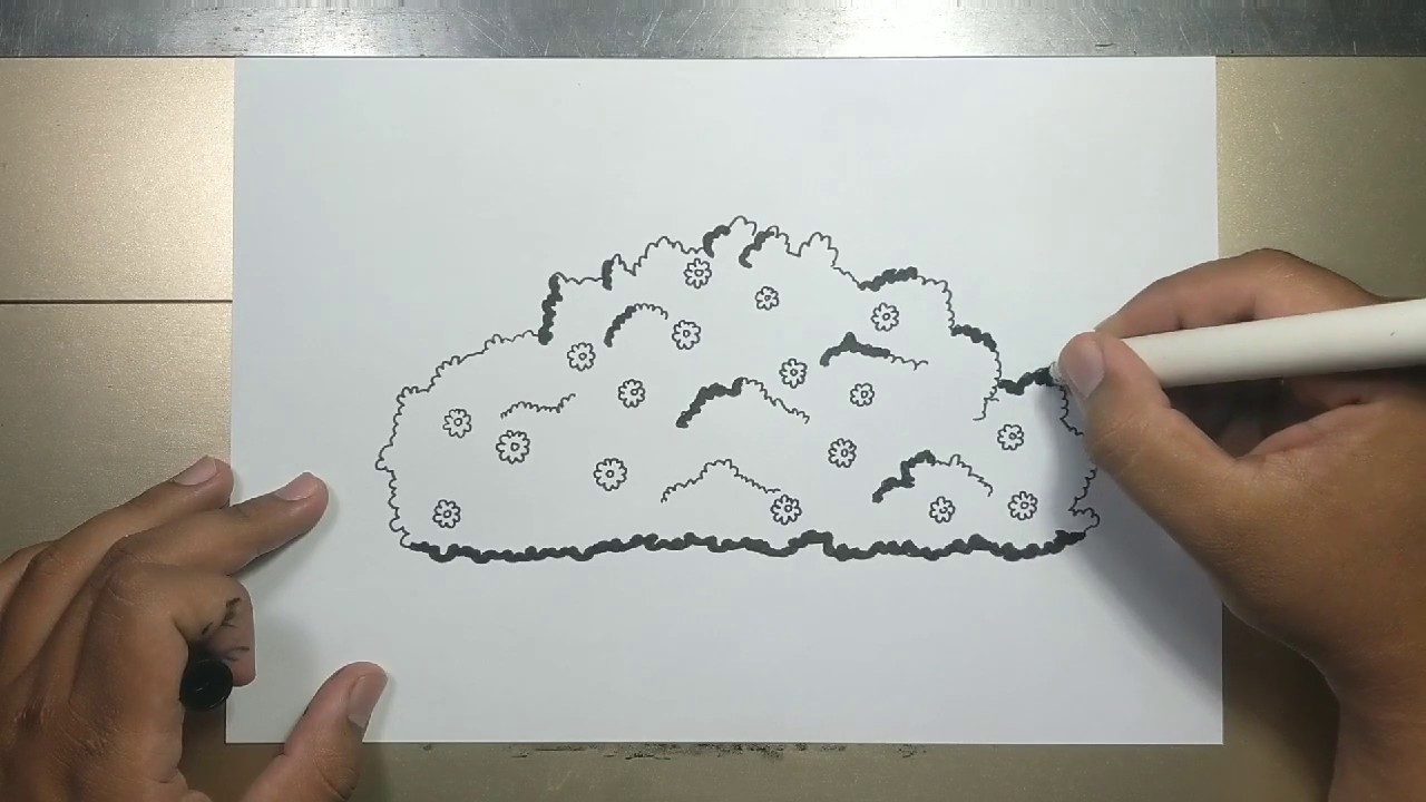 How to draw BUSHES in 5 minutes - YouTube