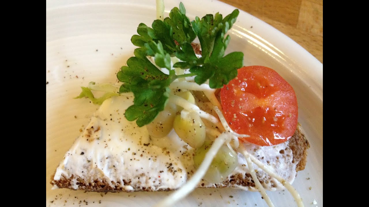 Sprossen selber züchten Teil 2 - einfachKochen - YouTube