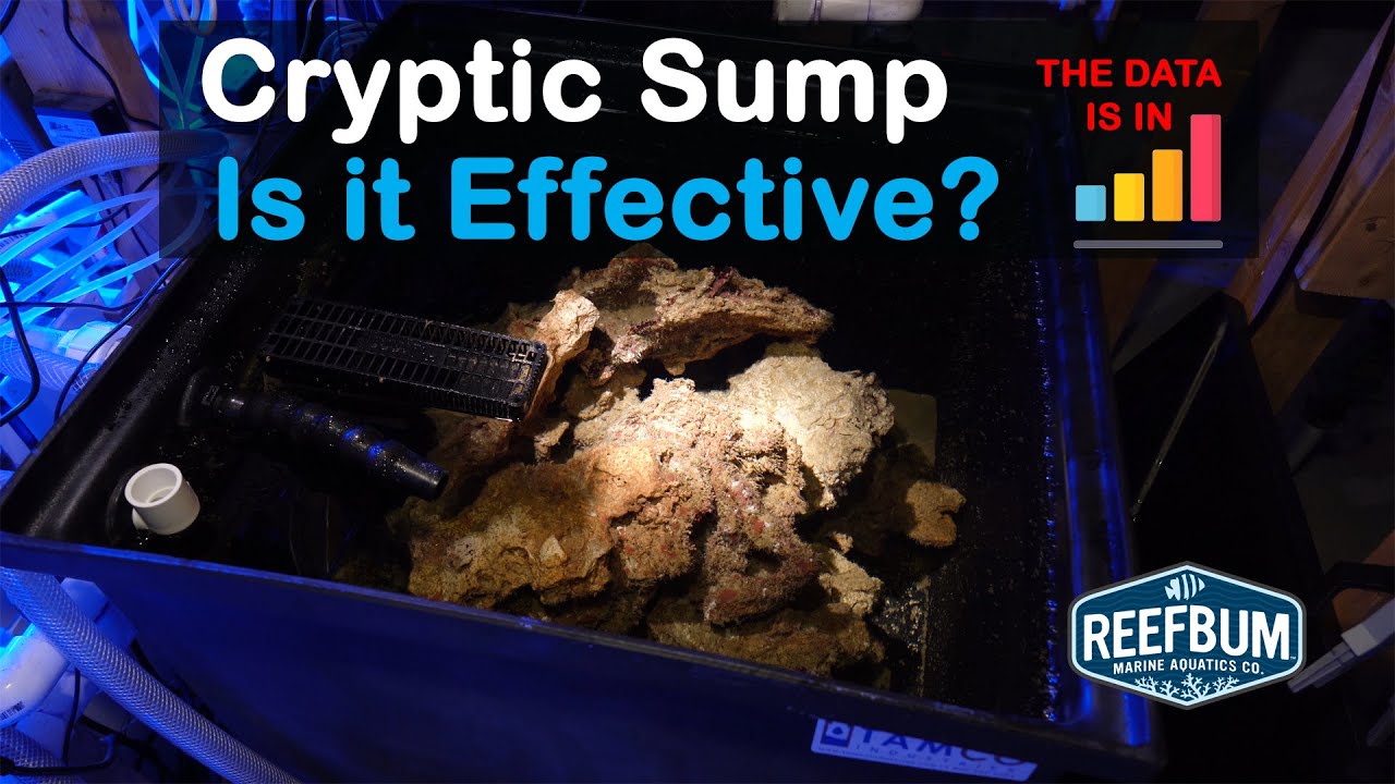 Cryptic Sump - The Data is In. Is it Effective? - YouTube